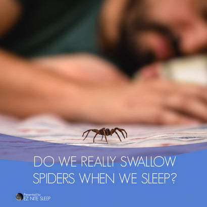 Do People Really Eat Spiders While Sleeping? The Truth Behind the Myth ...