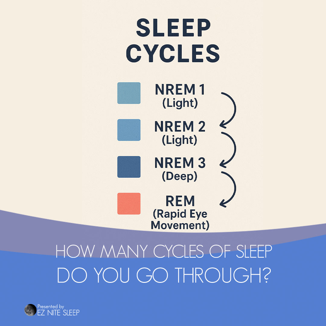 How Many Sleep Cycles Do You Go Through Each Night and Why They Matter ...