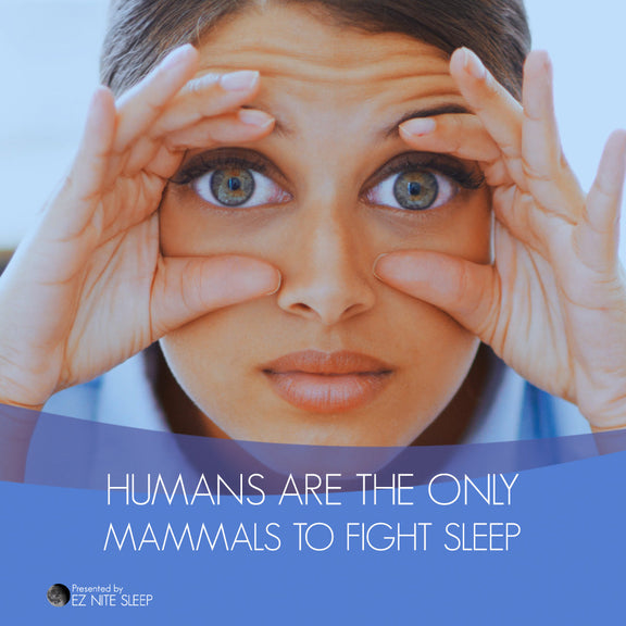 Why Humans Are the Only Mammals That Can Resist Sleep And What It Mean ...