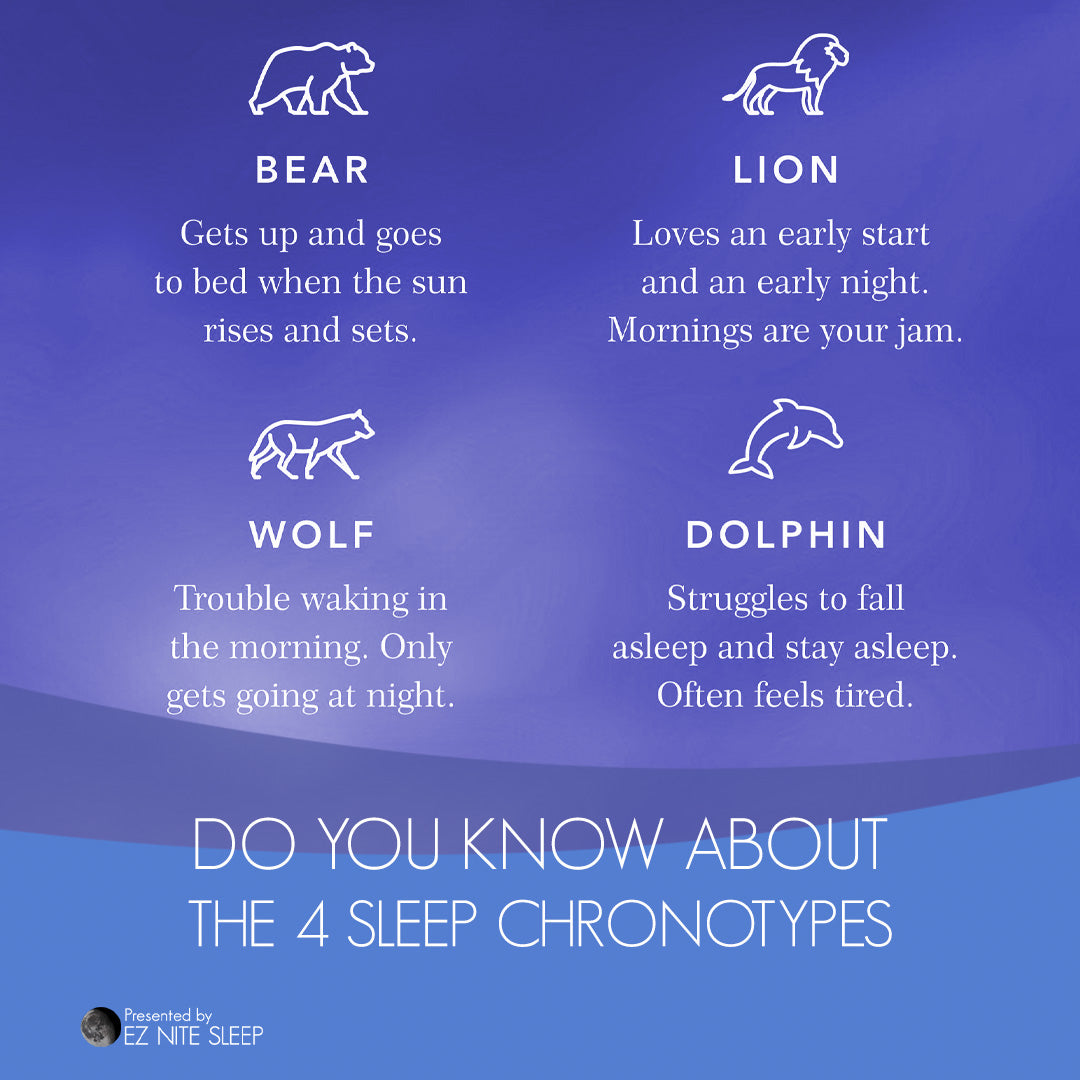 Unlocking Your Sleep Chronotype: Understanding the 4 Sleep Patterns ...