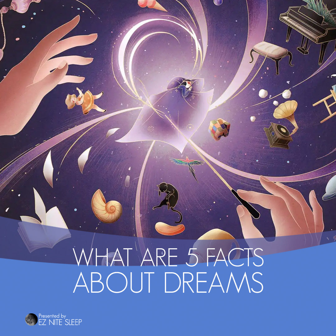 5 Fascinating Facts About Dreams You Probably Didn’t Know – EZ Nite Sleep